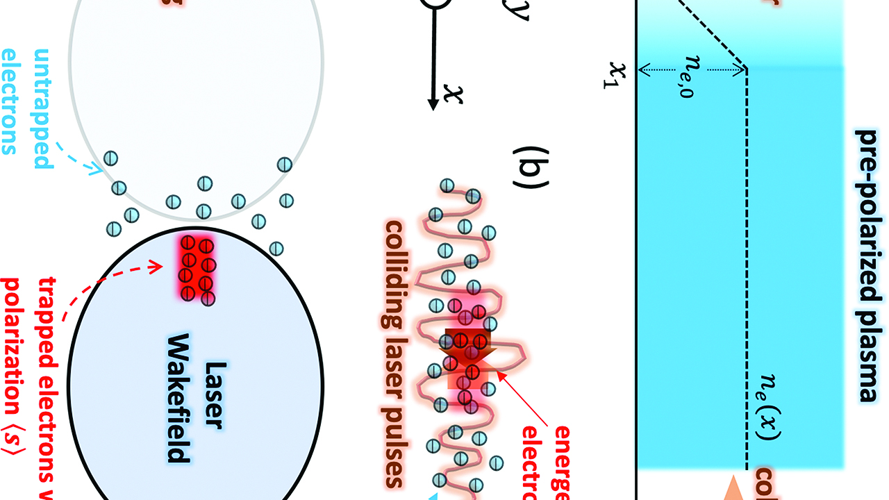 Spin-polarized electron beam generation in the colliding-pulse ...