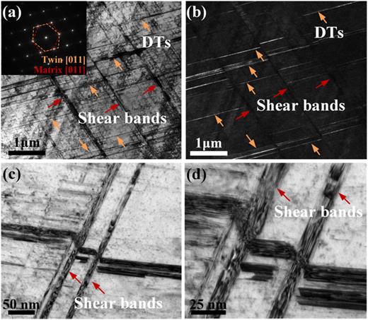 Mechanical responses and crystal plasticity model of CoCrNi medium ...