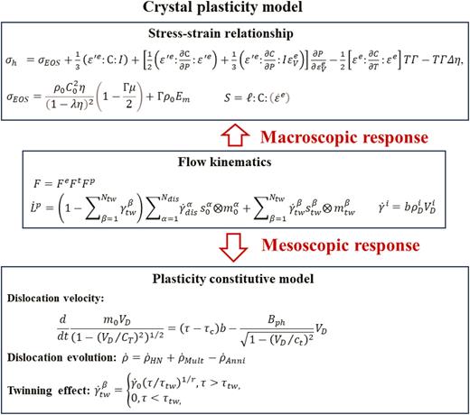 Mechanical responses and crystal plasticity model of CoCrNi medium ...