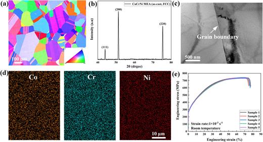 Mechanical responses and crystal plasticity model of CoCrNi medium ...