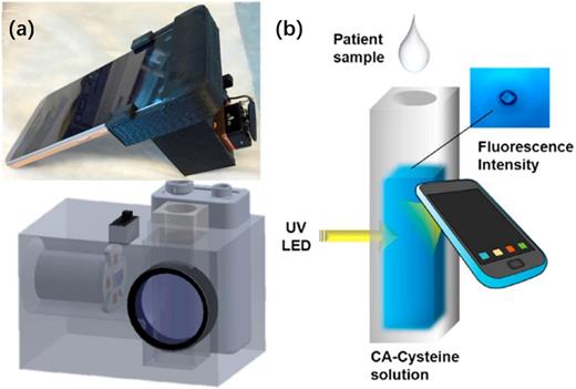 Sweat detection theory and fluid driven methods: A review ...