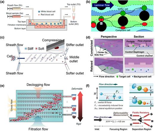 Microfluidic high-throughput single-cell mechanotyping: Devices and applications ...