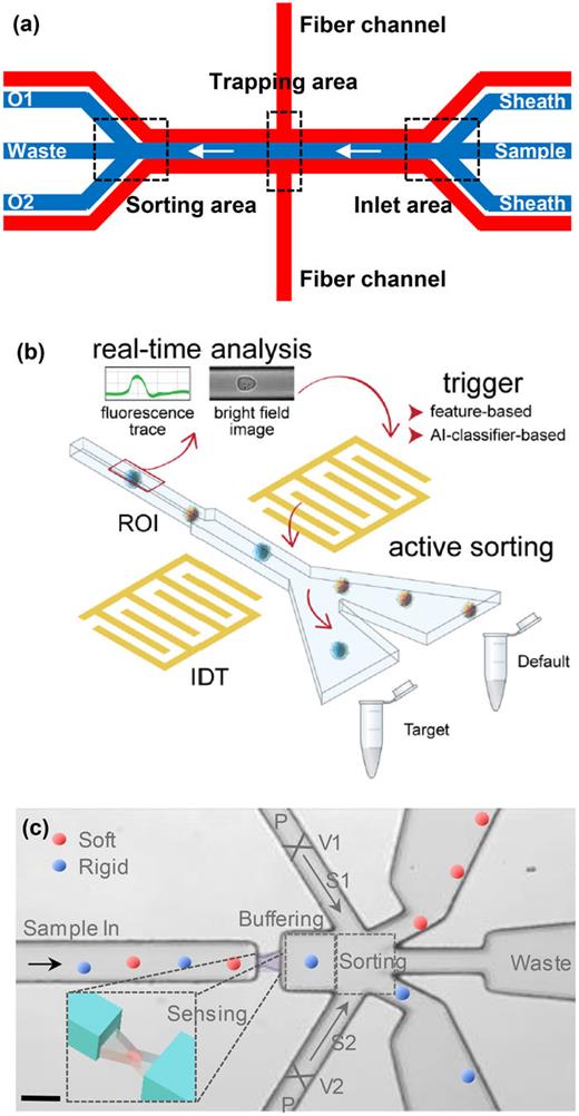 Microfluidic high-throughput single-cell mechanotyping: Devices and applications ...