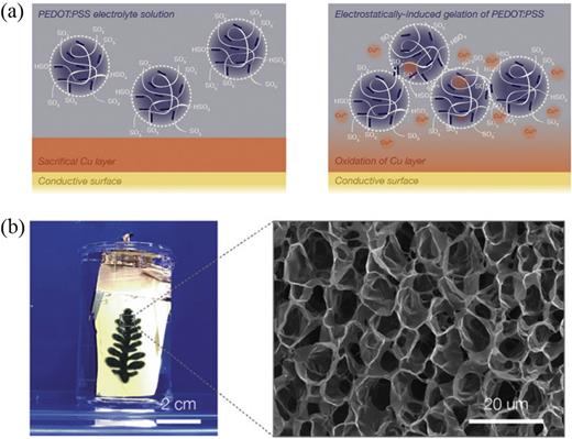PEDOT:PSS: From conductive polymers to sensors | Nanotechnology and ...