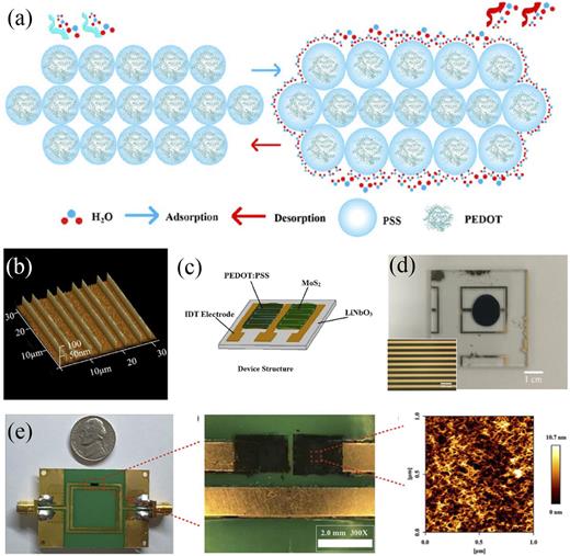 PEDOT:PSS: From conductive polymers to sensors | Nanotechnology and ...
