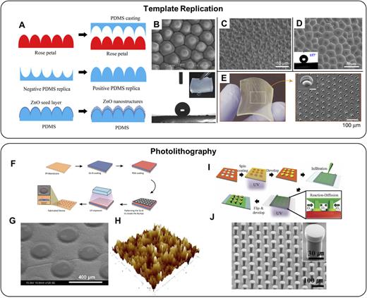 Superhydrophilic–superhydrophobic patterned surfaces: From simplified ...