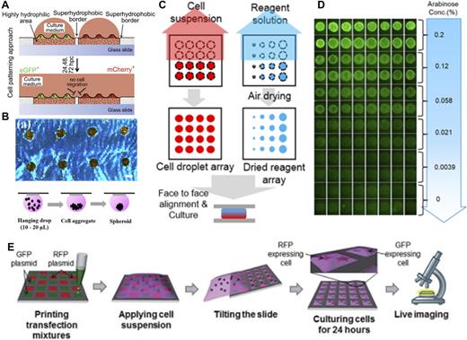 Superhydrophilic–superhydrophobic patterned surfaces: From simplified ...