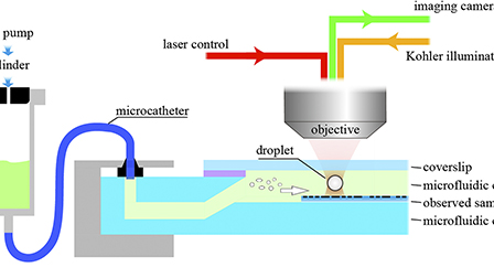 An optical tweezer-based microdroplet imaging technology ...