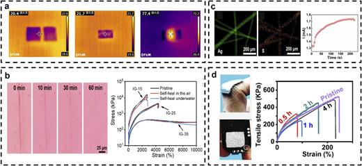 Smart epidermal electrophysiological electrodes: Materials, structures, and algorithms ...