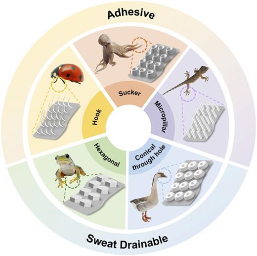 Smart epidermal electrophysiological electrodes: Materials, structures ...
