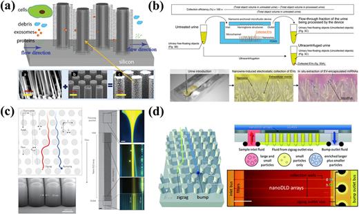 Nanostructure enabled extracellular vesicles separation and detection ...