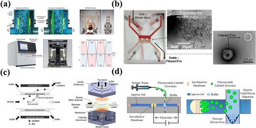 Nanostructure enabled extracellular vesicles separation and detection ...