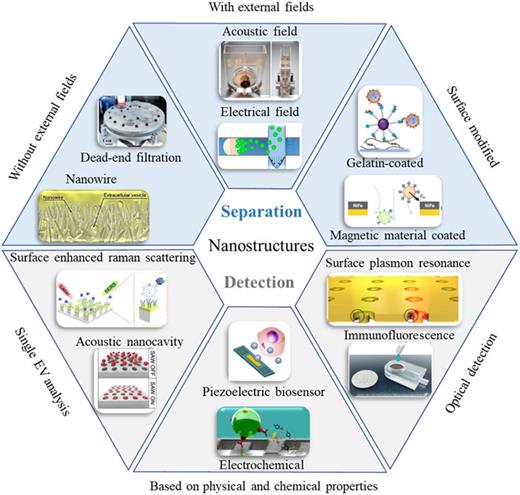 Nanostructure enabled extracellular vesicles separation and detection | Nanotechnology and ...