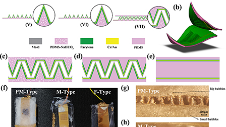 Flexible capacitive pressure sensor based on interdigital electrodes ...