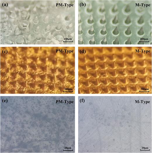 Flexible capacitive pressure sensor based on interdigital electrodes ...