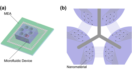 Simulation and fabrication of in vitro microfluidic microelectrode array chip for patterned ...