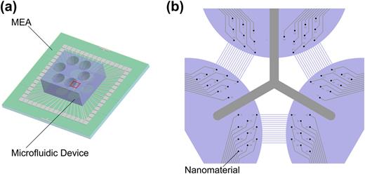 Simulation and fabrication of in vitro microfluidic microelectrode ...