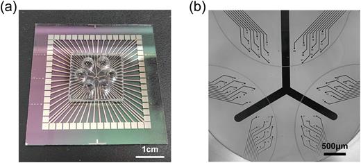 Simulation and fabrication of in vitro microfluidic microelectrode ...