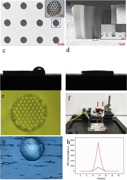 An electrochemiluminescent magneto-immunosensor for ultrasensitive ...