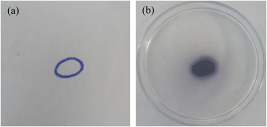 FPGA-based plasma sterilization device for wound-edge recognition ...
