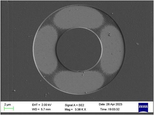 Real-time generation of circular patterns in electron beam lithography ...