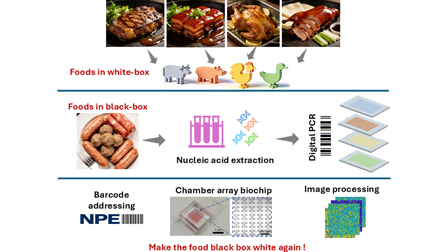 Volume 9 Issue 2 | Nanotechnology and Precision Engineering | AIP ...