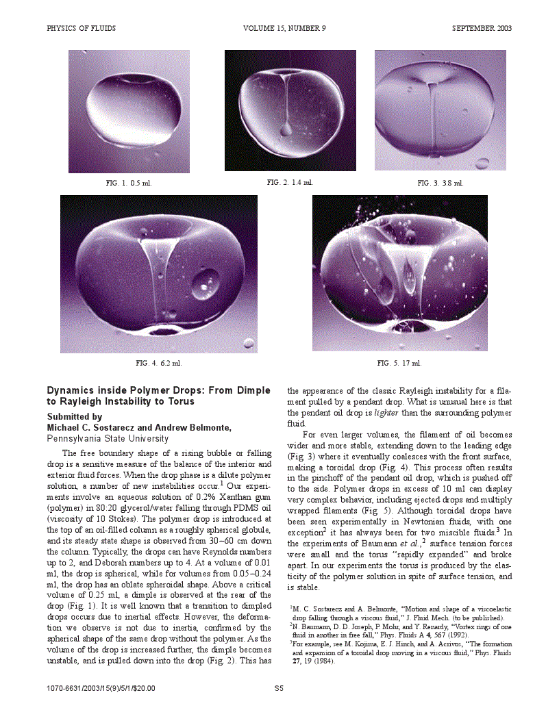 Dynamics Inside Polymer Drops: From Dimple to Rayleigh Instability to ...