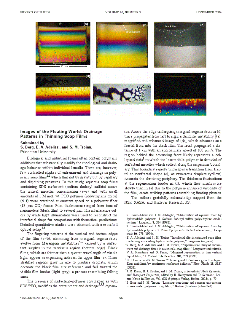 Images of the Floating World: Drainage Patterns in Thinning Soap Films ...