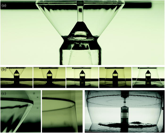 Water bells created from below | Physics of Fluids | AIP Publishing