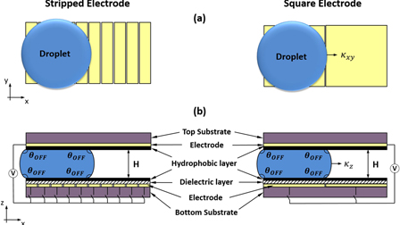 Numerical investigation of continuous droplet transport in parallel ...