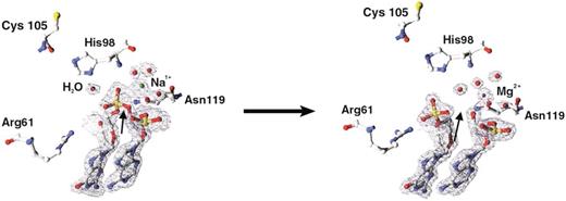 Time-Resolved Macromolecular Crystallography | Physics Today | AIP ...