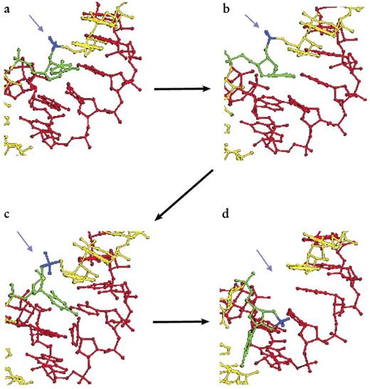 Time-Resolved Macromolecular Crystallography | Physics Today | AIP ...