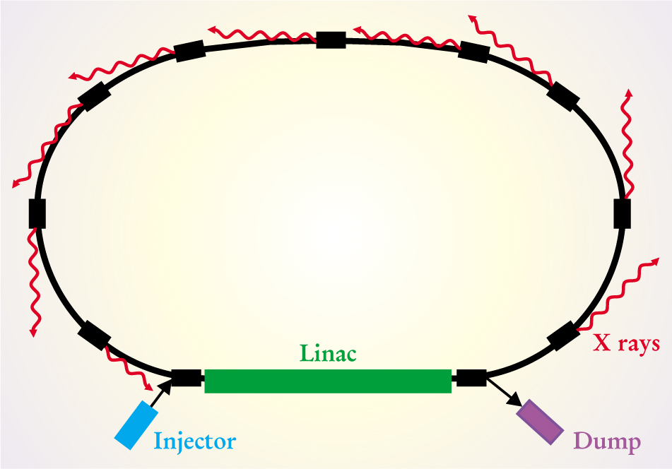 An Energy Recovery Linac Is Seen as a Bright Idea | Physics Today | AIP ...