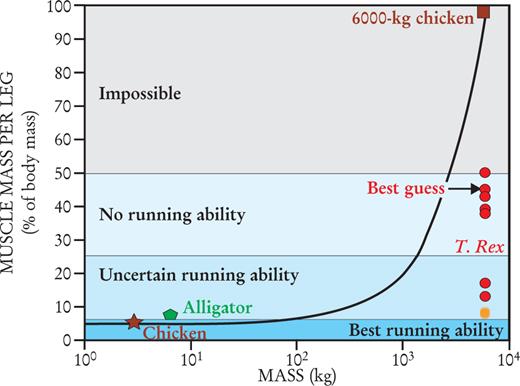 How Fast Could Tyrannosaurus rex Run? | Physics Today | AIP Publishing