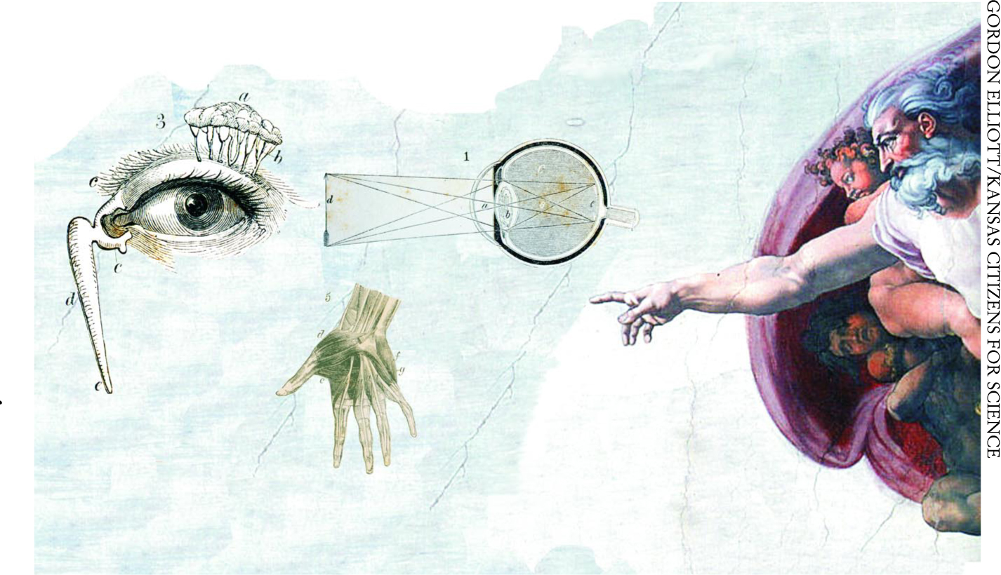 Intelligent Design Is Creationism in a Cheap Tuxedo | Physics Today ...