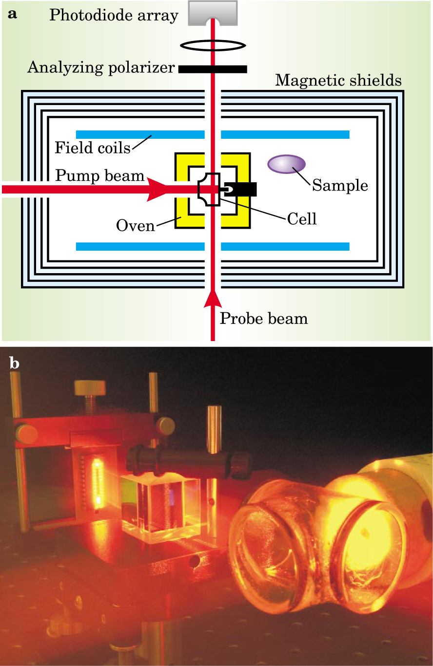 New Atomic Magnetometer Achieves Subfemtotesla Sensitivity | Physics ...