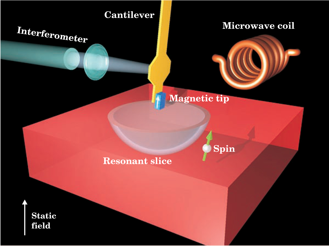 Magnetic Resonance Force Microscope Locates a Single Electron Spin ...