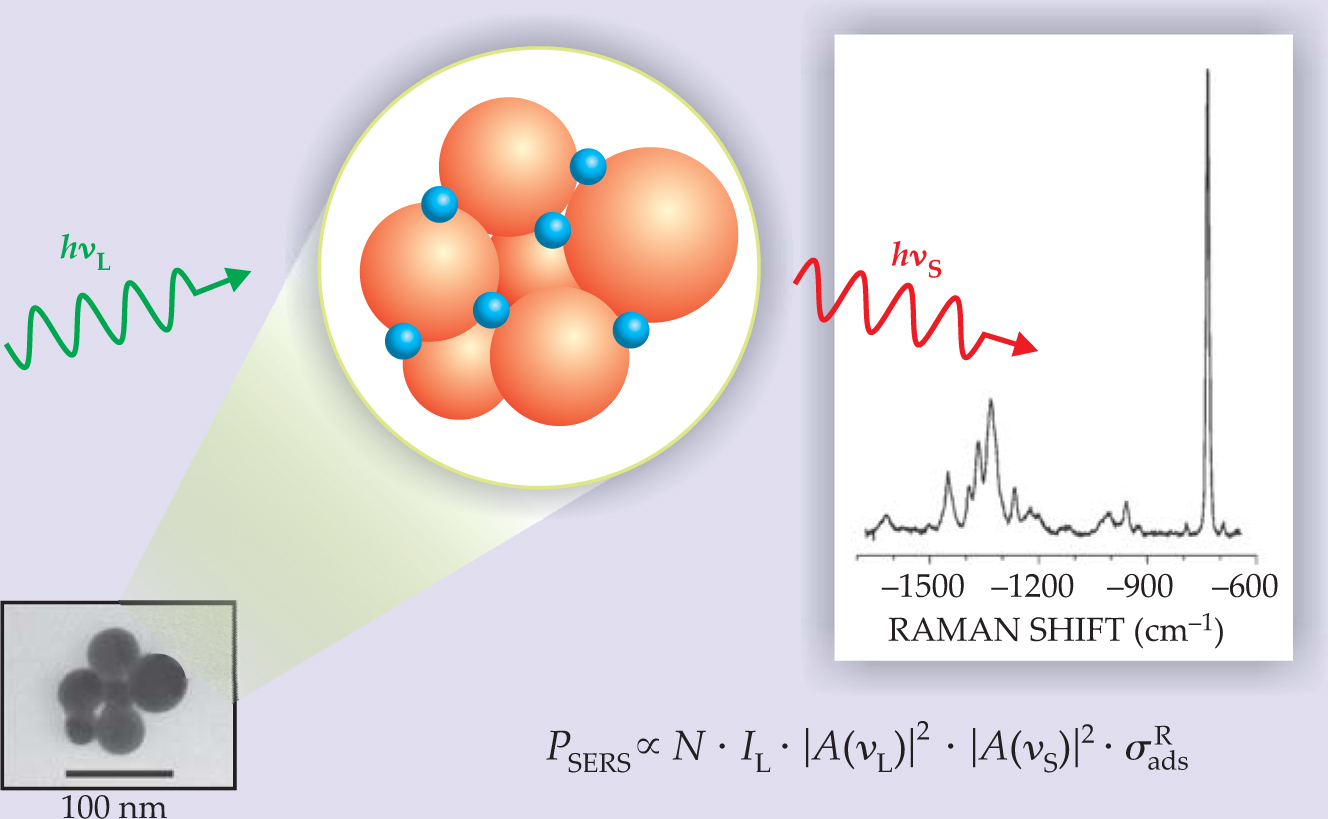 Surface-enhanced Raman scattering | Physics Today | AIP Publishing