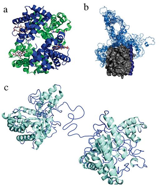 Intrinsically disordered proteins | Physics Today | AIP Publishing