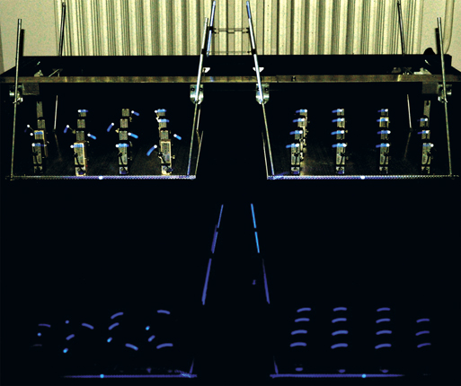 A mechanical chimera | Physics Today | AIP Publishing