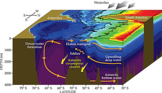 Upwelling in the Southern Ocean | Physics Today | AIP Publishing