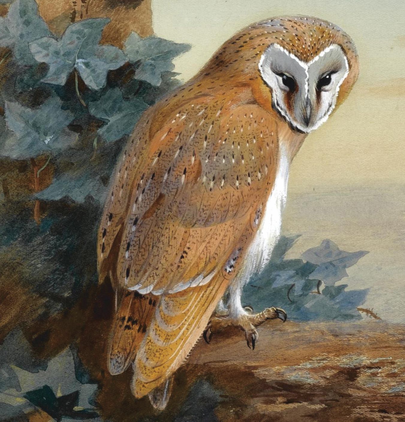 Animal communication in context | Physics Today | AIP Publishing