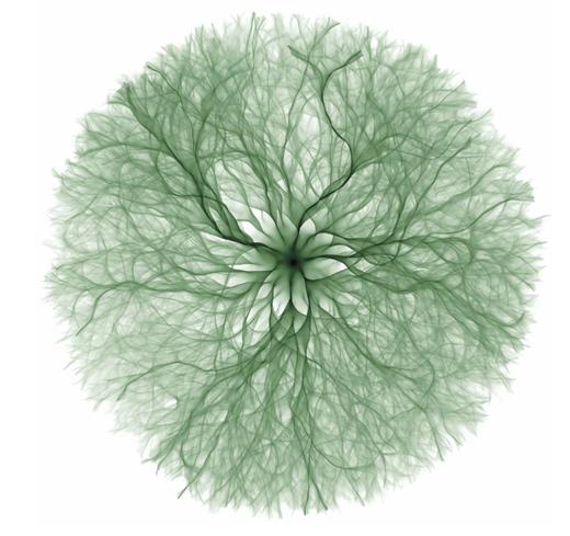 Branched flow | Physics Today | AIP Publishing