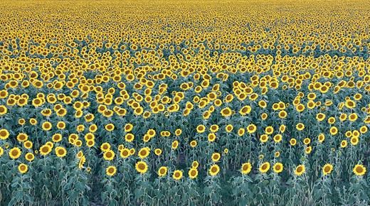 World-leading rare isotope facility is on line in Michigan | Physics ...