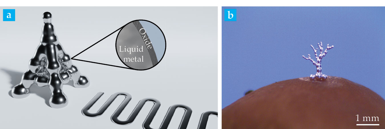 Making soft and reconfigurable electronics with liquid metals | Physics ...