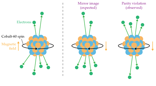 Chien-Shiung Wu's trailblazing experiments in particle physics ...