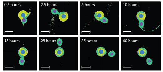 How Pluto got its biggest satellite | Physics Today | AIP Publishing