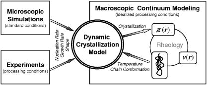 Crystal shapes and crystallization in continuum modeling | Physics of ...