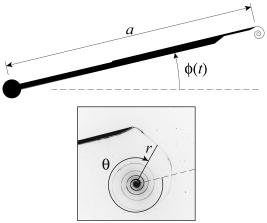 Spiral shear layers: Roll-up and incipient instability | Physics of ...