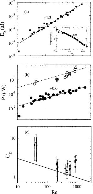 Universal wake structures of Kármán vortex streets in two-dimensional ...